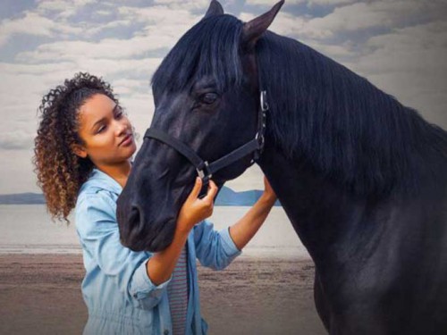 Kidscreen » Archive » More Free Rein gallops onto Netflix