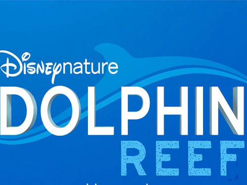 Kidscreen » Archive » Disney+ dives into Dolphin Reef