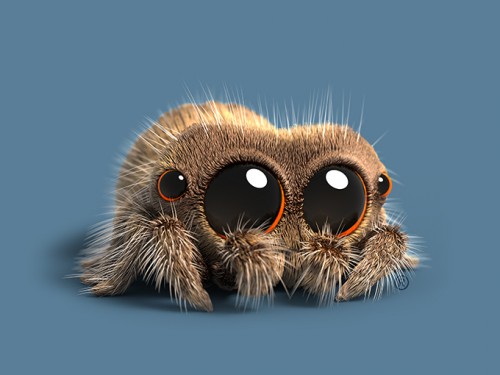 Kidscreen » Archive » CN & Boomerang crawl onto Lucas the Spider